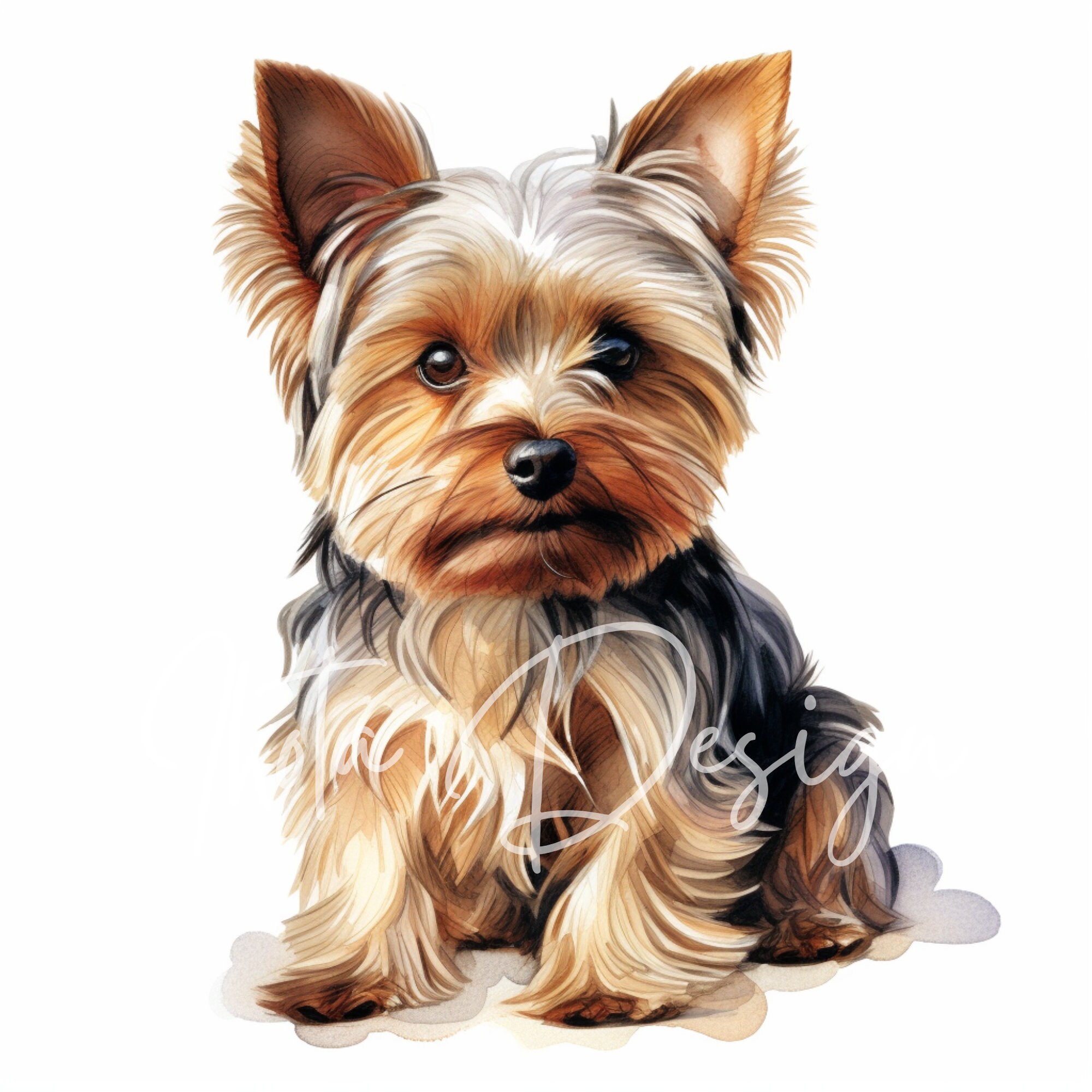 Yorkshire Terrier Clipart Collection, Watercolor Yorkie Dog ...