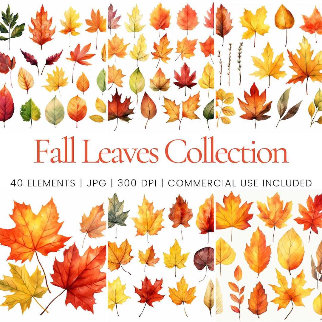 Autumn Leaves Clipart 40 High Quality Jpgs Digital - Etsy