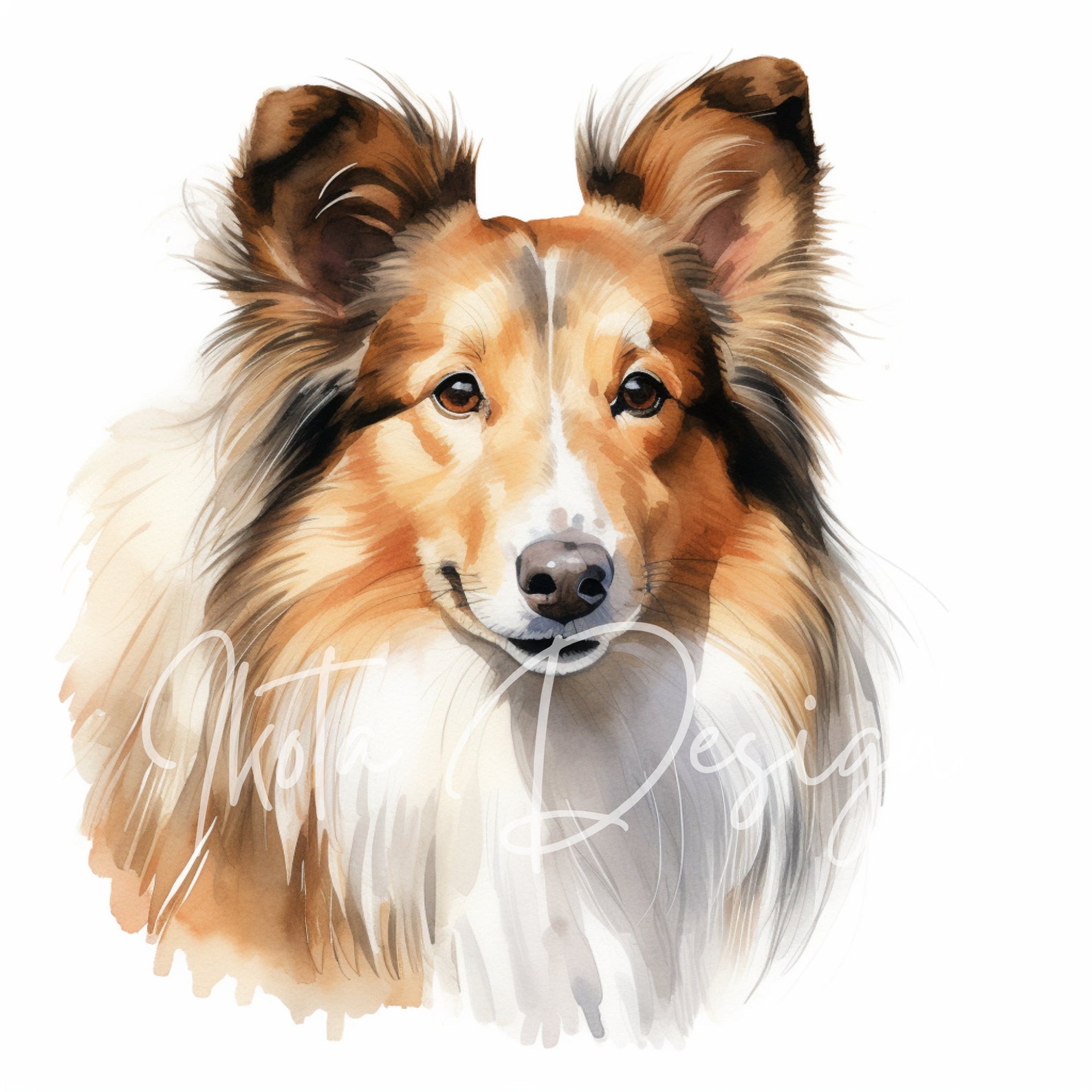 Shetland Sheepdog Clipart - 40 High Quality Jpgs - Digital Planner ...