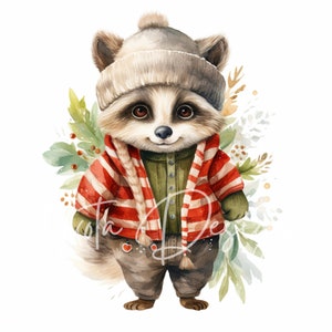 Winter Raccoon Clipart Collection, Cute Cozy Raccoon Characters in ...