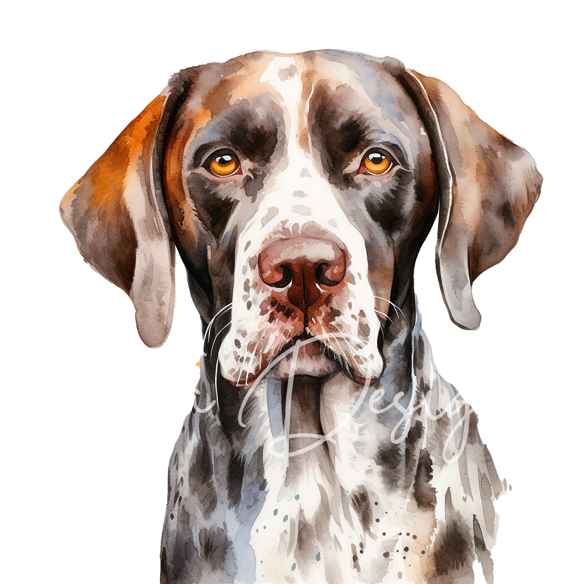 Short Haired Pointer Clipart 40 High Quality PNG Digital Planner, Junk ...