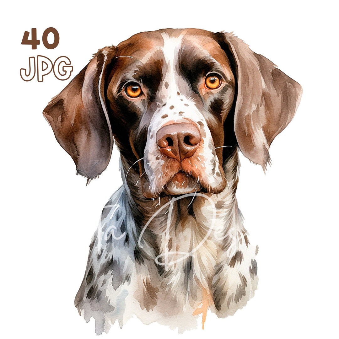 Short Haired Pointer Clipart - 40 High Quality PNG - Digital Planner ...
