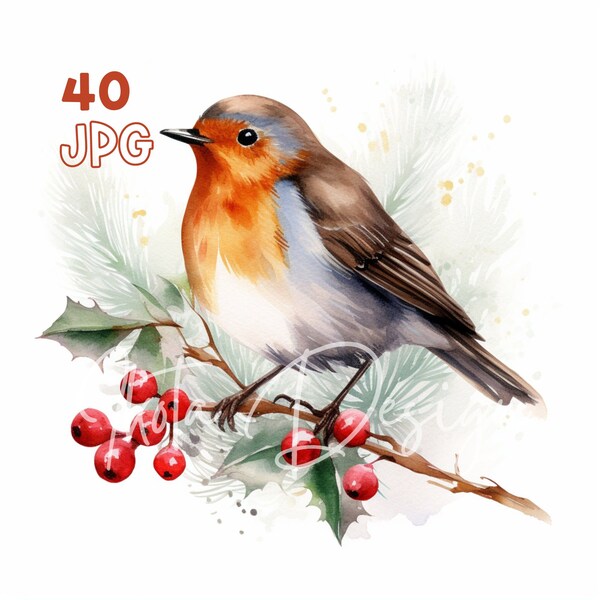 Christmas Robin - Etsy UK