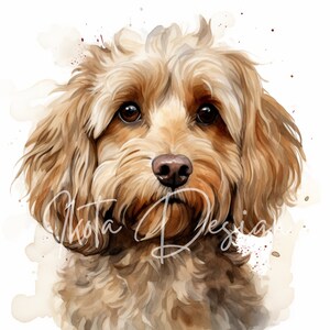 Cockapoo Clipart - 40 High Quality Jpgs - Digital Planner, Junk ...