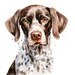 Short Haired Pointer Clipart - 40 High Quality PNG - Digital Planner ...