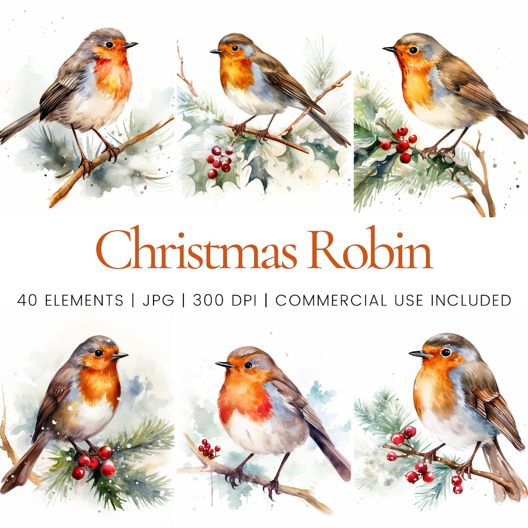 Christmas Robin Clipart 40 High Quality JPG Digital - Etsy