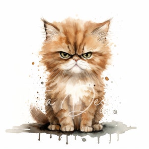 Grumpy Cat Clipart - 40 High Quality Jpgs - Digital Planner, Junk ...