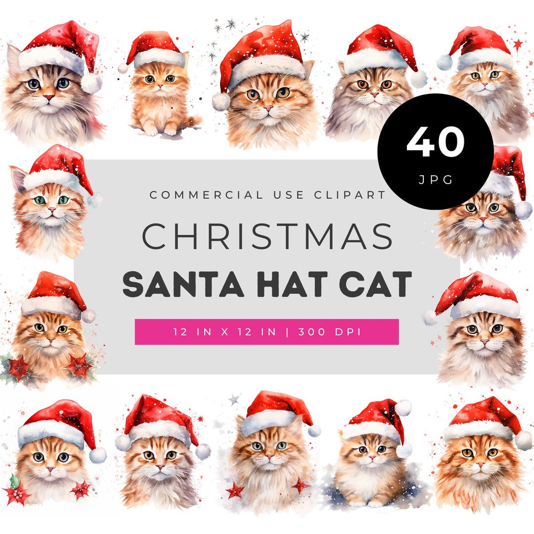 Christmas Santa Hat Cat Clipart, Cute Kitten Holiday Illustrations ...