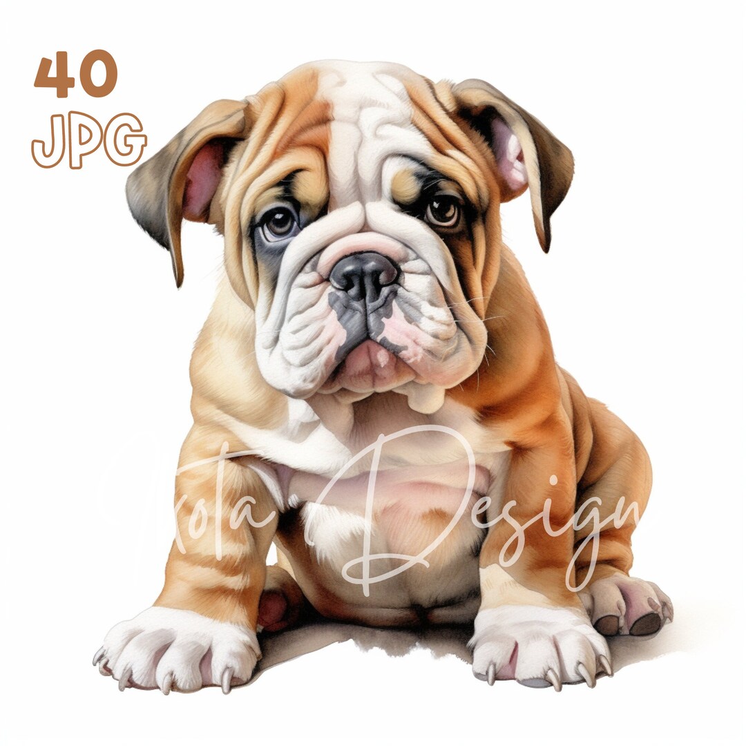 Bulldog Puppy Watercolor Clipart Bundle, Squishy Face Dog Illustrations ...