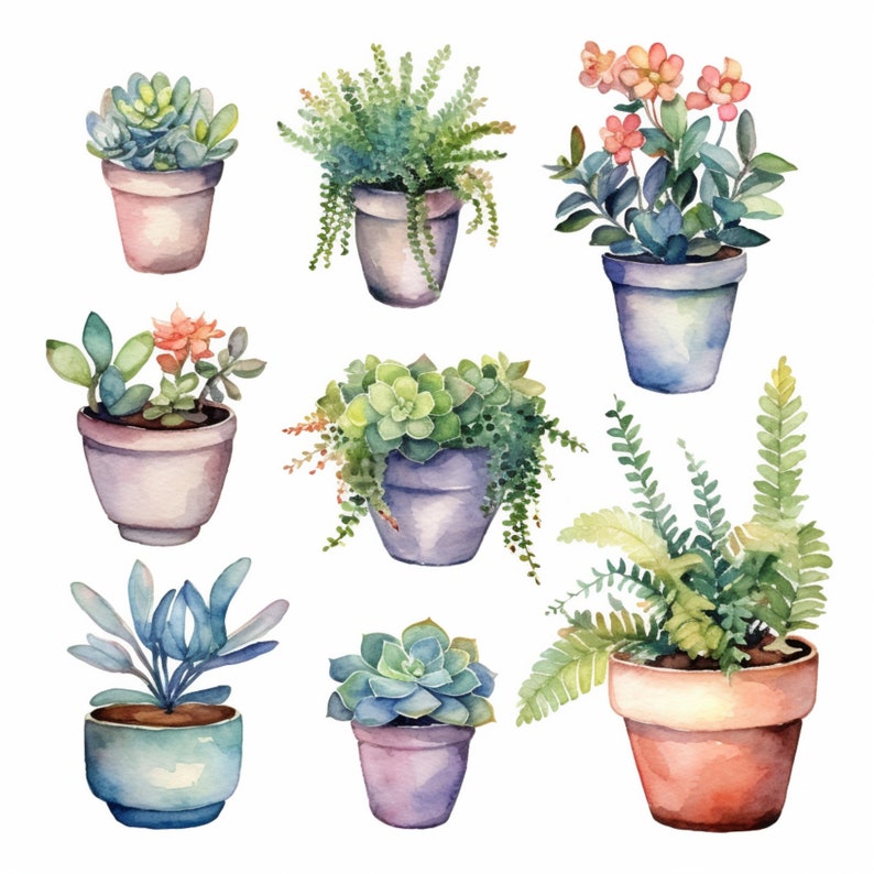 Watercolor Potted Plants Clipart Bundle With Succulent Planter ...