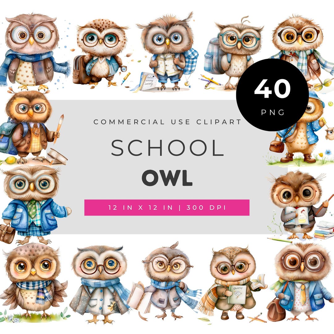 School Owl Clipart Set Cute Student Owls Back to School Animals Teacher ...