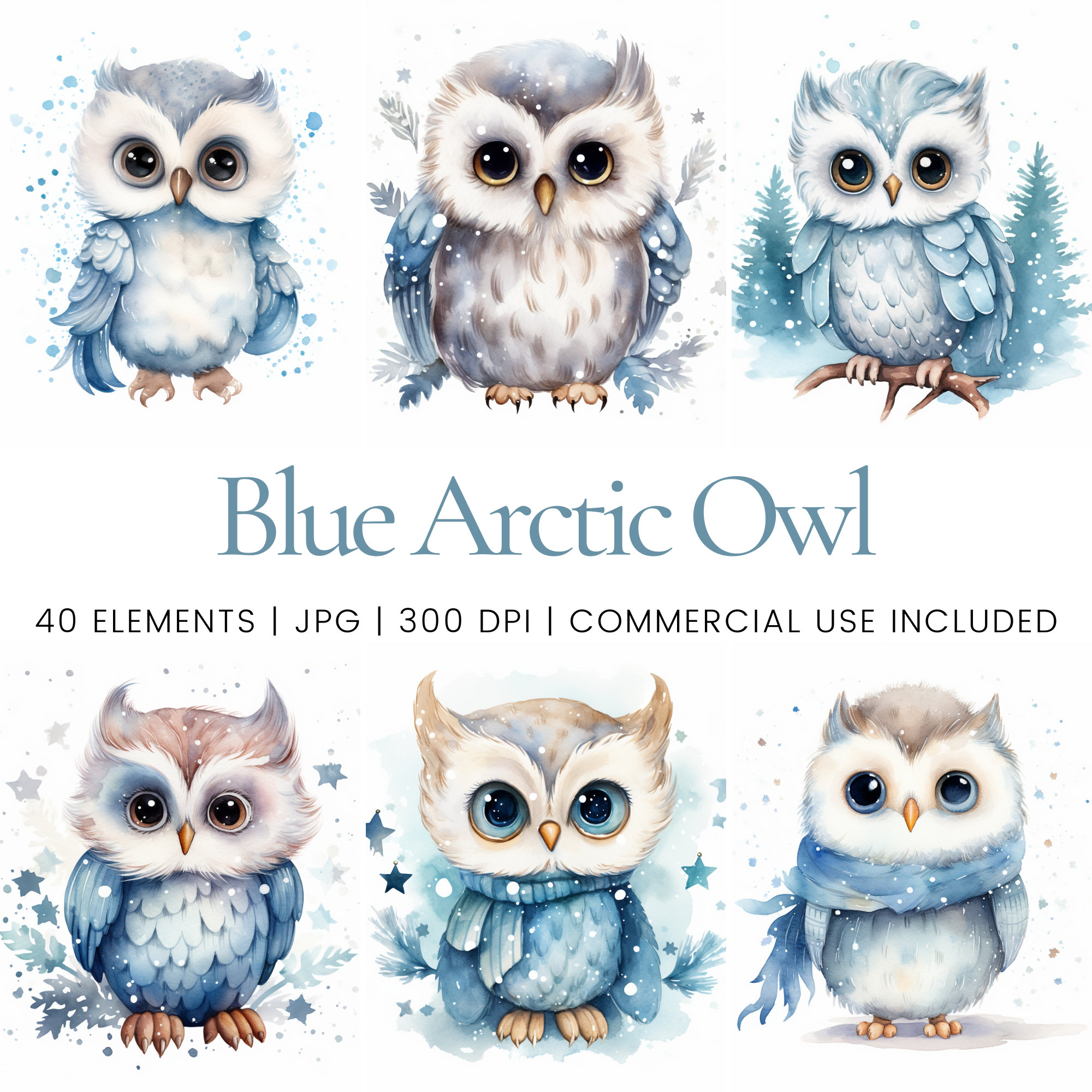 Blue Arctic Owl Clipart 40 High Quality Jpgs Digital - Etsy