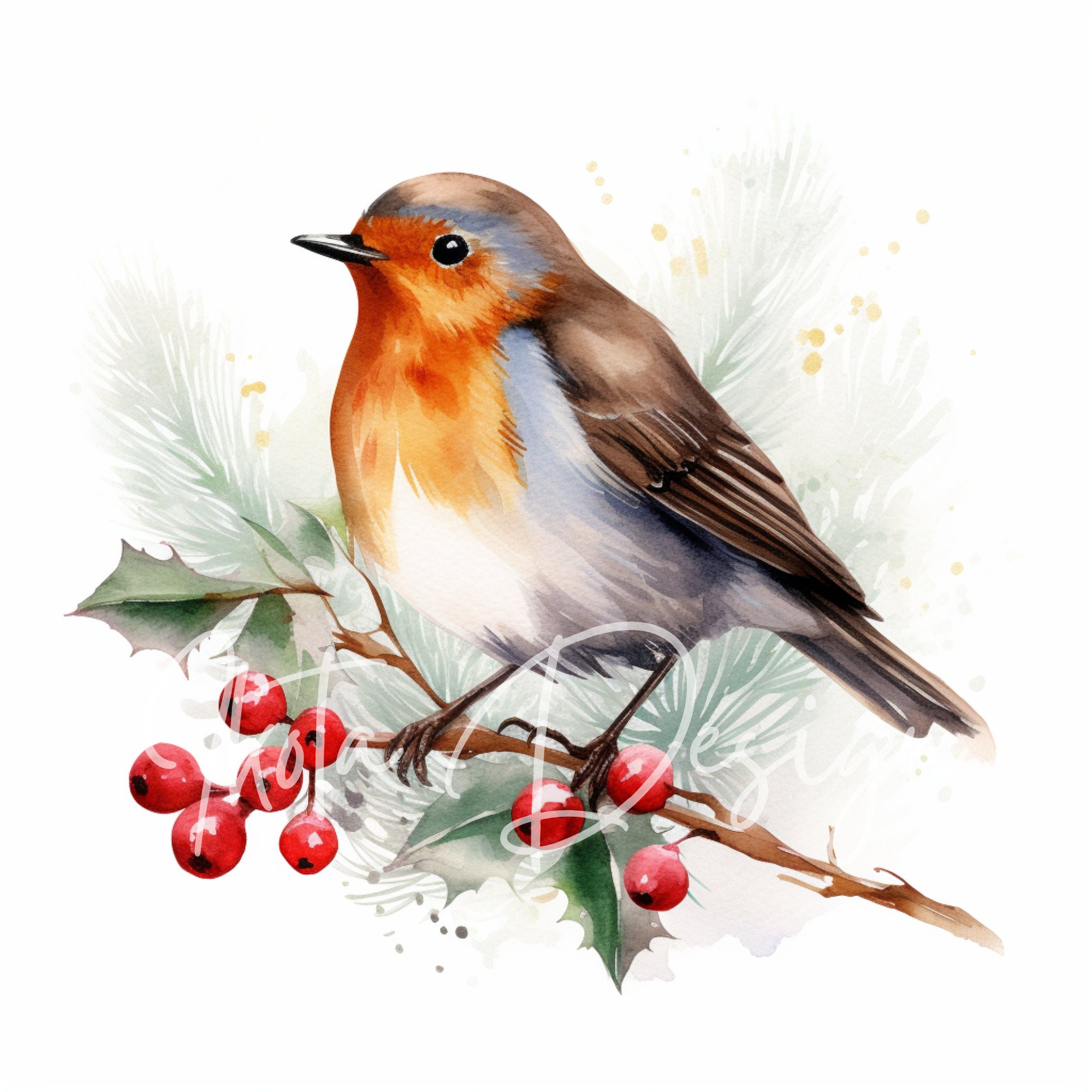 Christmas Robin Clipart 40 High Quality JPG Digital - Etsy