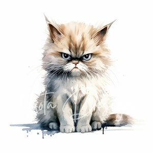 Grumpy Cat Clipart - 40 High Quality Jpgs - Digital Planner, Junk ...