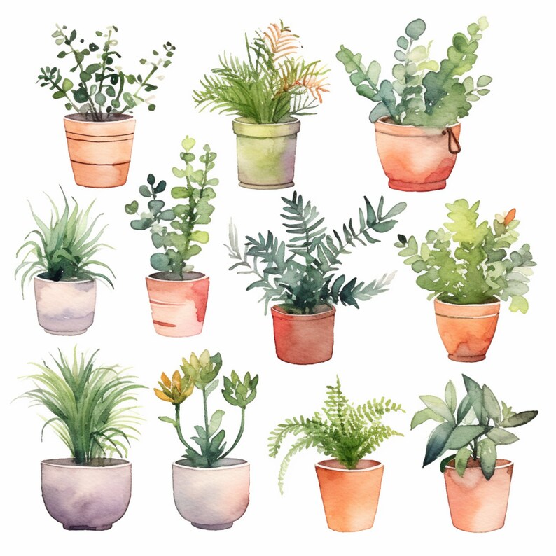 Watercolor Potted Plants Clipart Bundle With Succulent Planter ...
