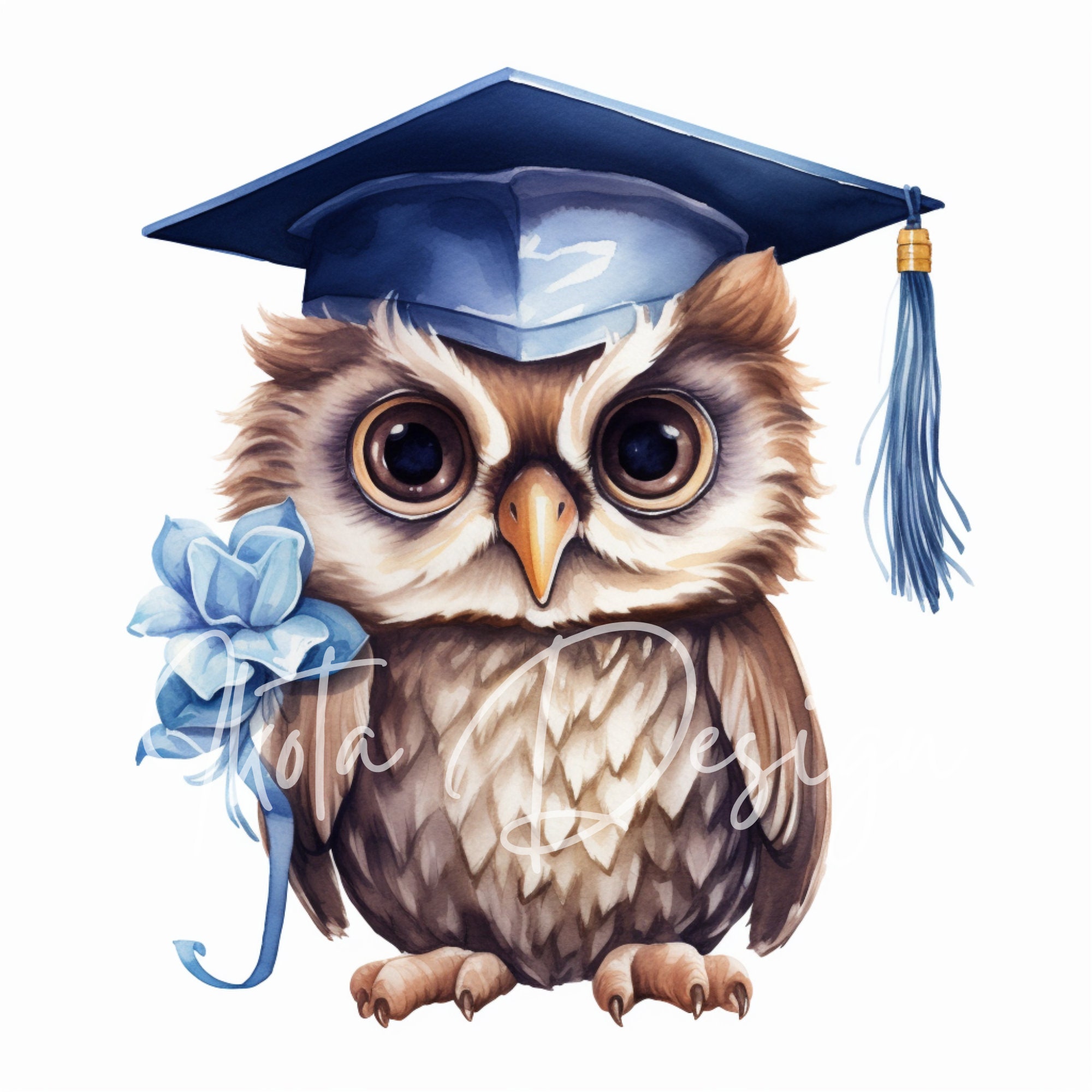Graduation Owl Clipart 40 High Quality Jpgs Digital - Etsy