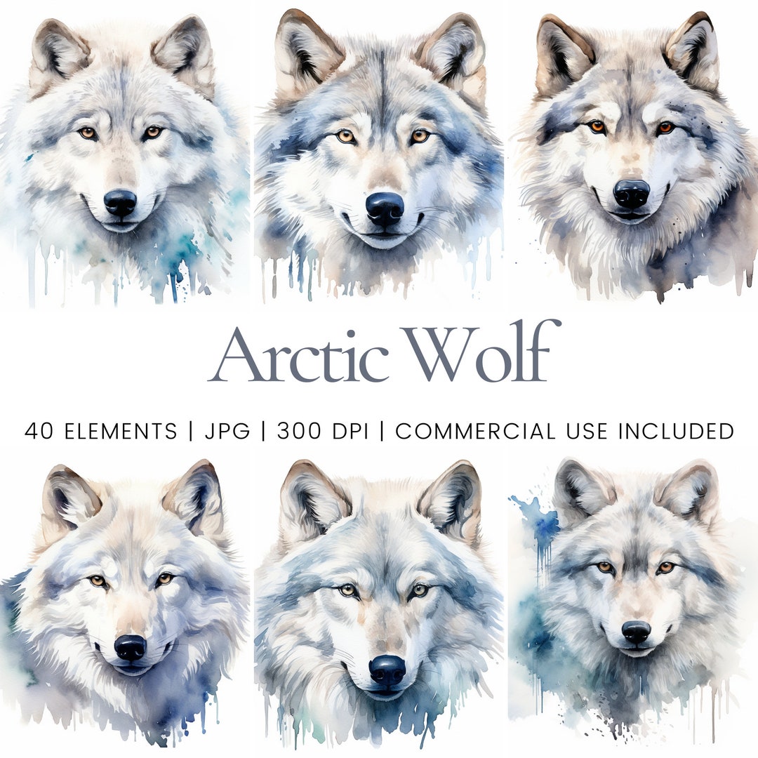 Arctic Wolf Clipart 40 High Quality Jpgs Digital Planner, Junk ...