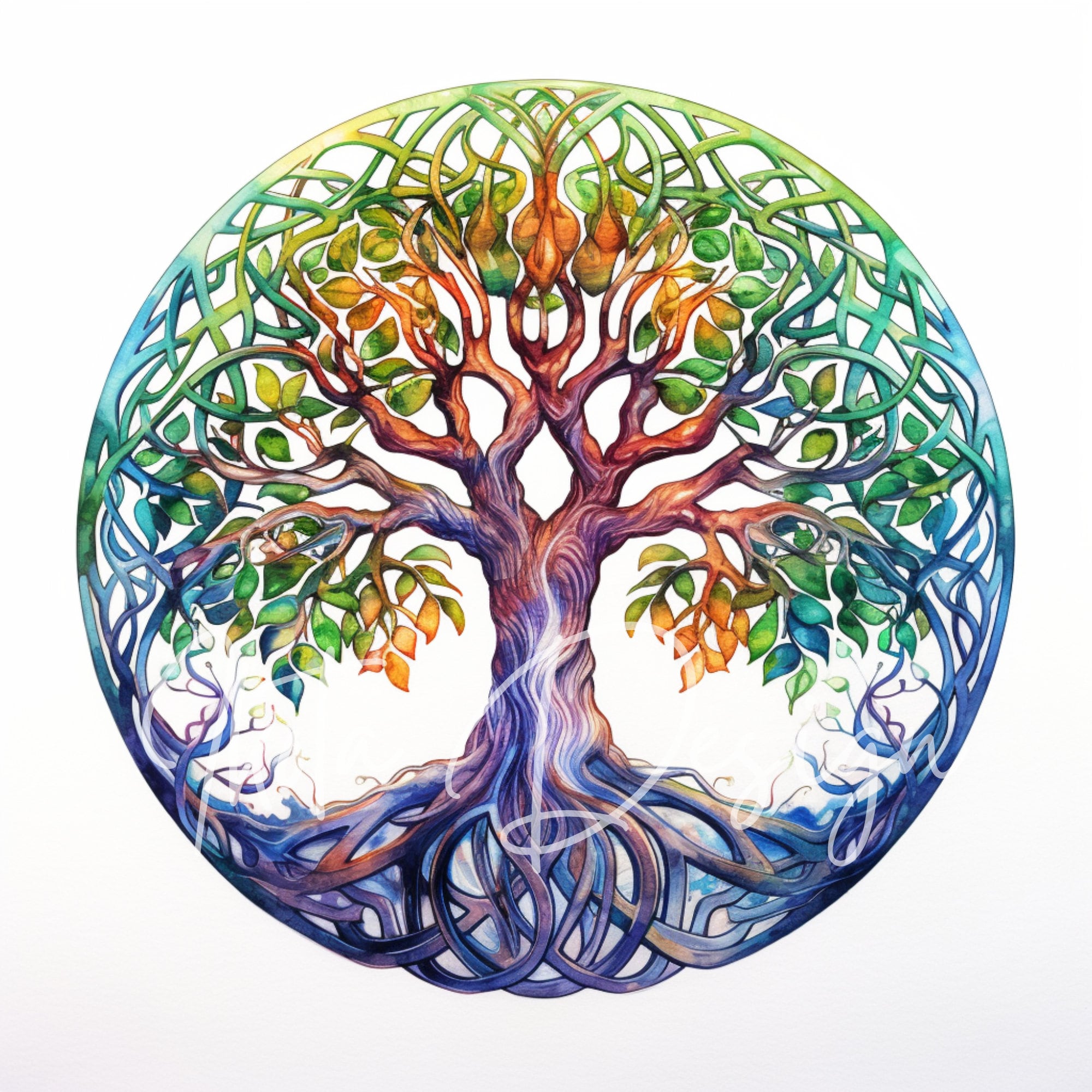 Celtic Tree Of Life Clipart Bundle With Colorful Knotwork Designs For