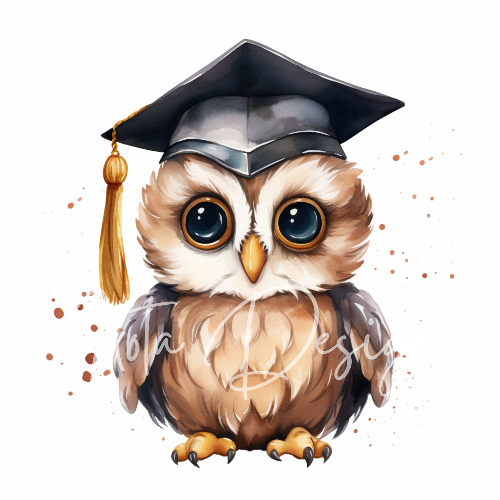 Graduation Owl Clipart 40 High Quality Jpgs Digital Planner, Junk ...