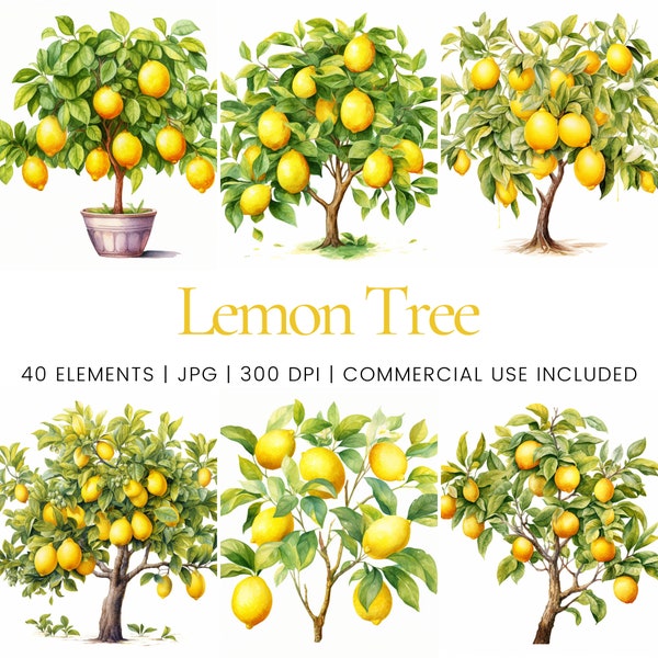Lemon Tree Cards - Etsy