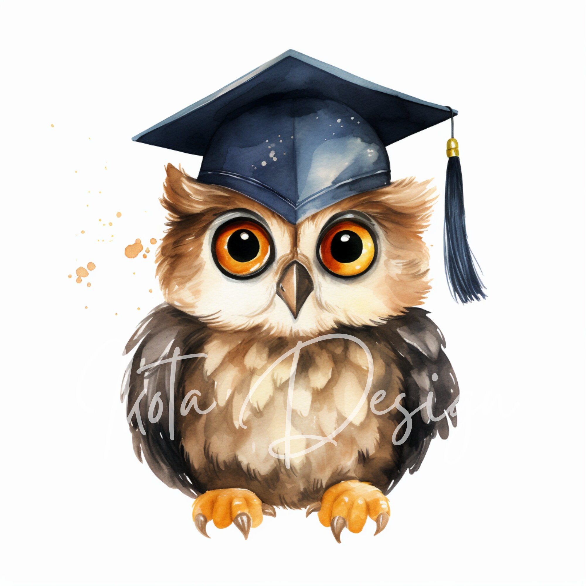 Graduation Owl Clipart 40 High Quality Jpgs Digital Planner, Junk ...