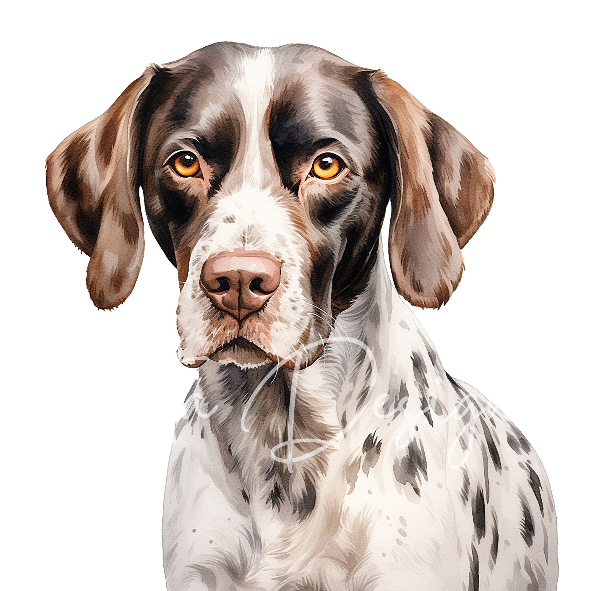 Short Haired Pointer Clipart 40 High Quality PNG Digital Planner, Junk ...