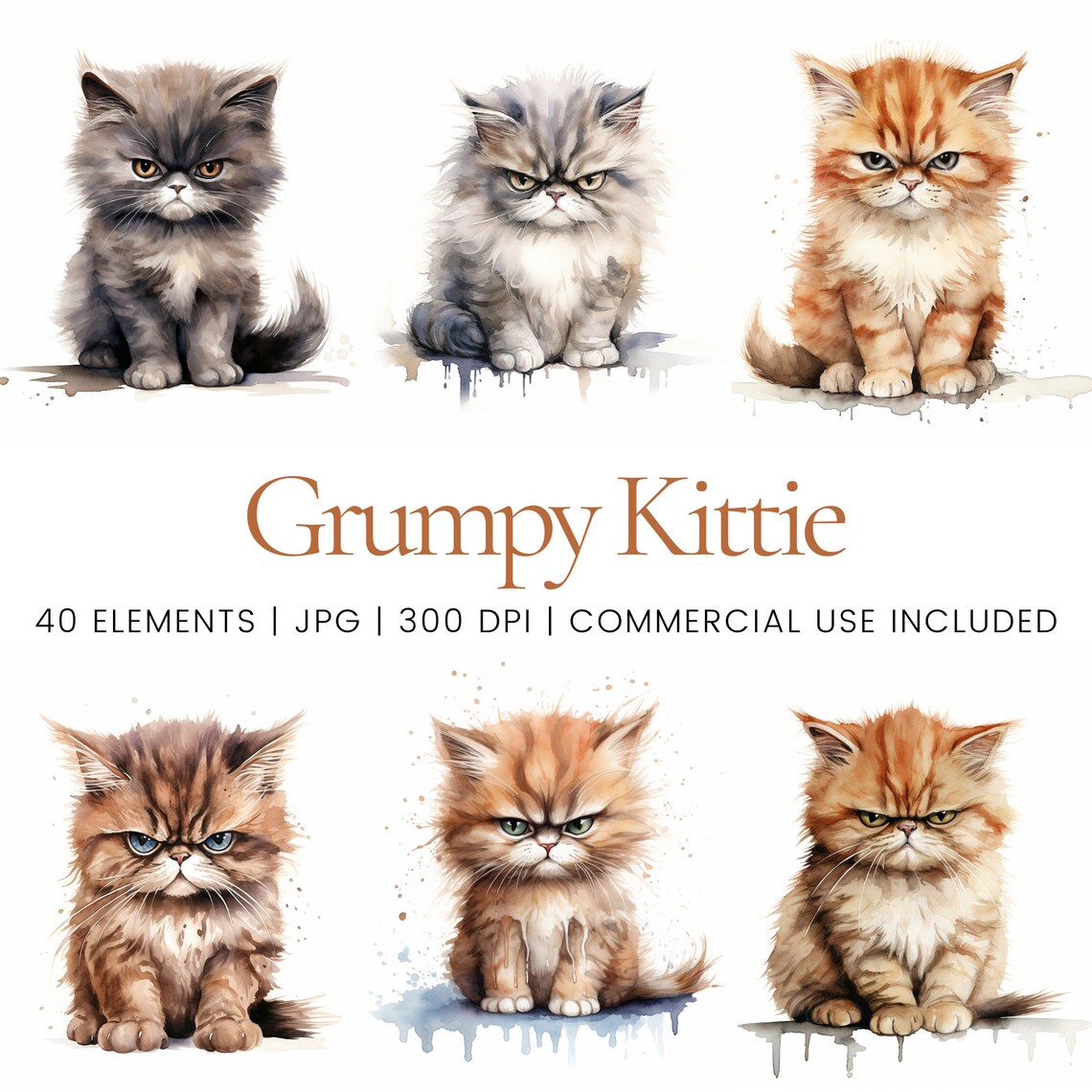 Grumpy Cat Clipart 40 High Quality Jpgs Digital Planner, Junk ...