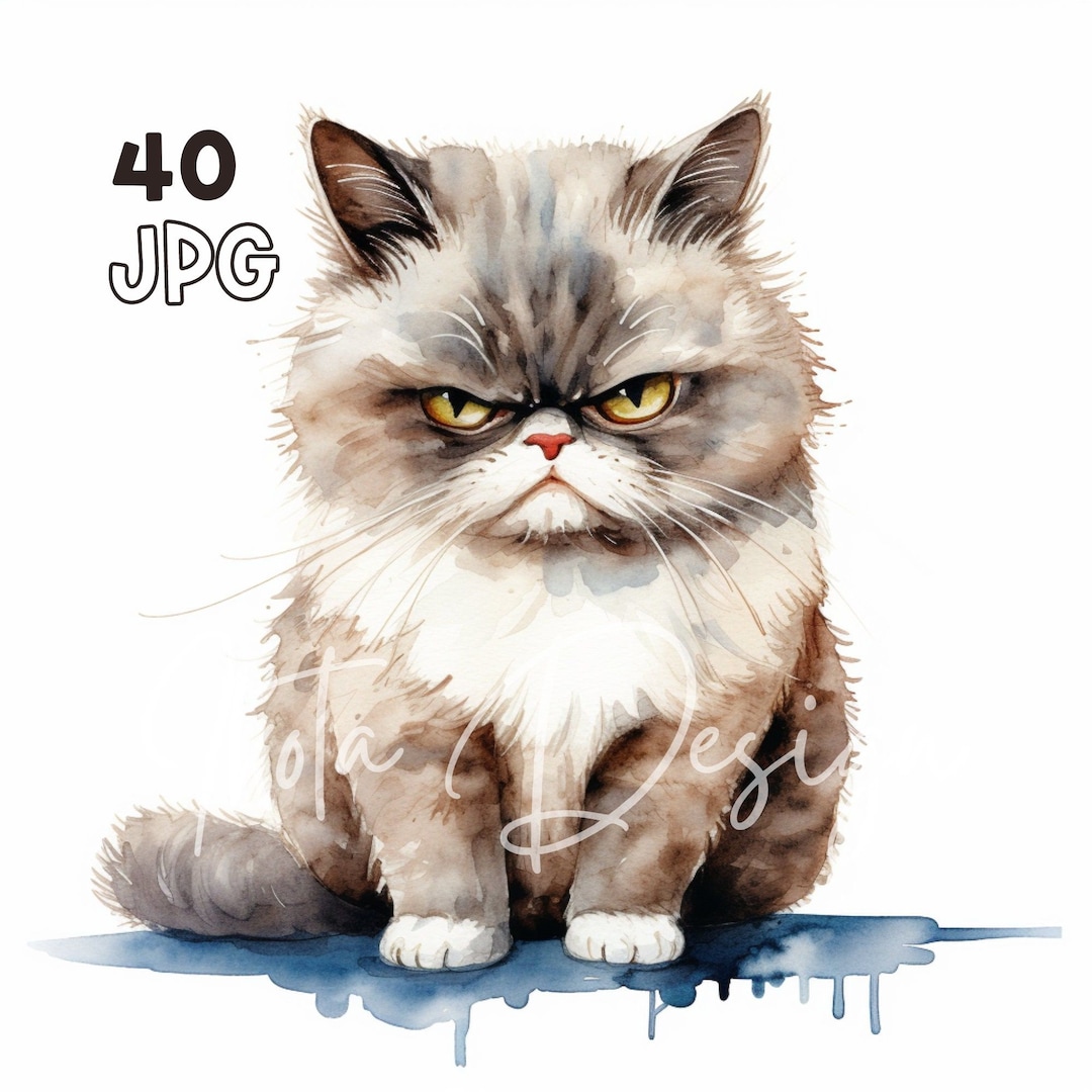 Grumpy Cat Clipart - 40 High Quality Jpgs - Digital Planner, Junk ...