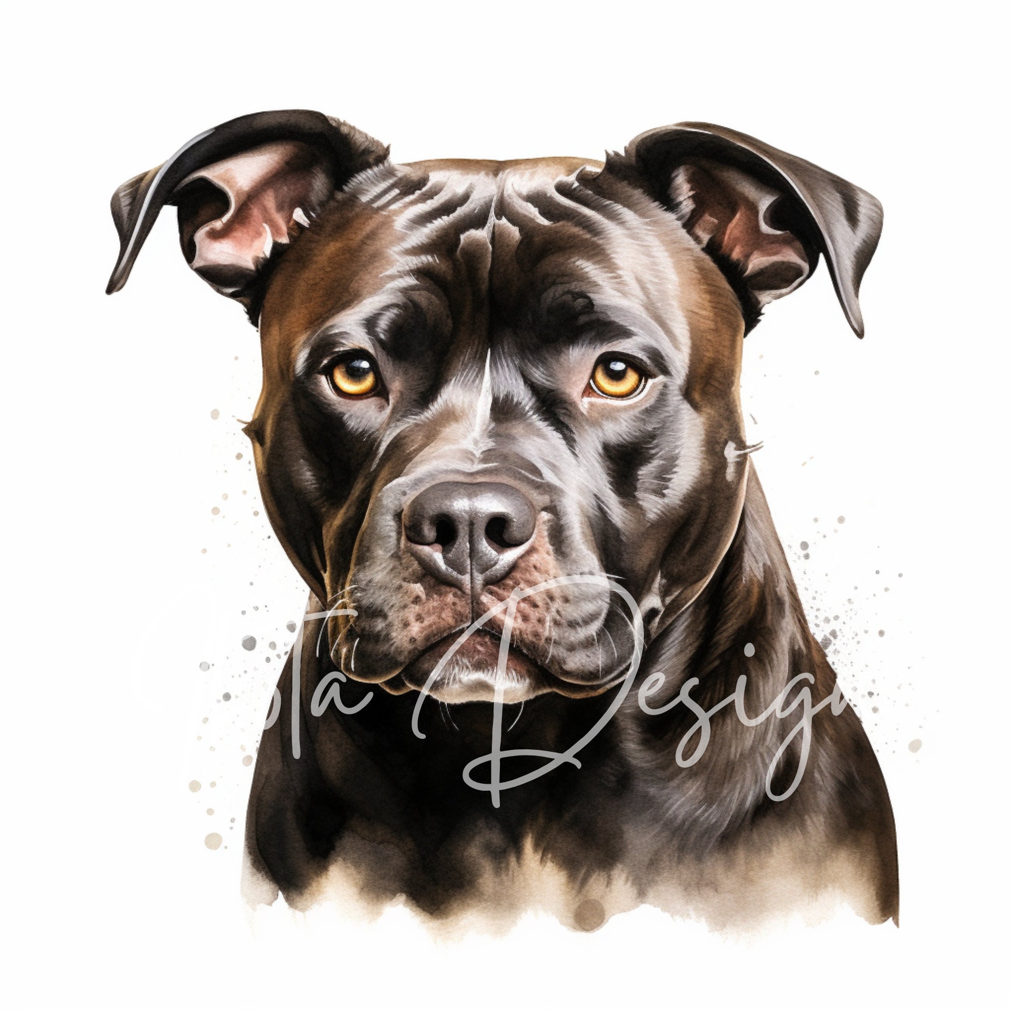 Staffordshire Bull Terrier Dog Clipart Collection, Muscular Loyal ...