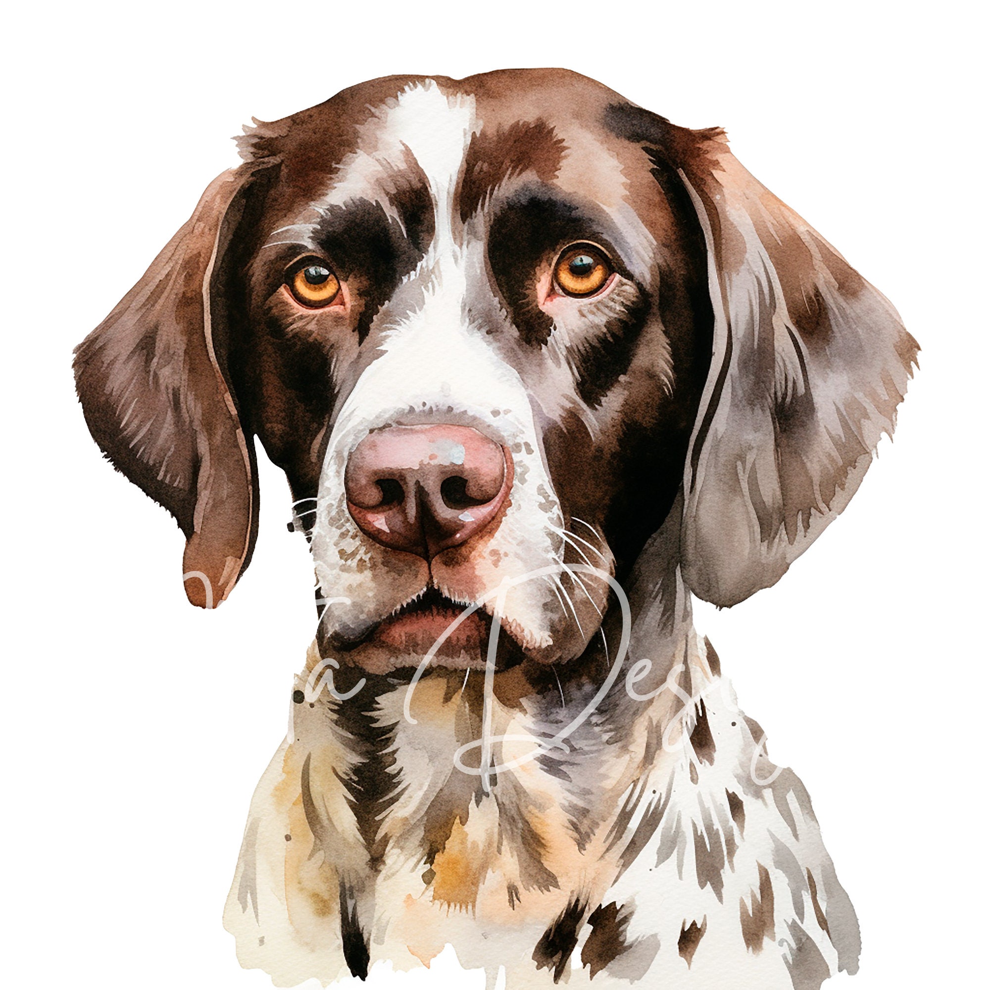 Short Haired Pointer Clipart 40 High Quality PNG Digital Planner, Junk ...