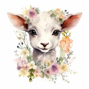 Cute Lamb & Flowers Clipart - 40 High Quality Jpgs - Digital Planner ...