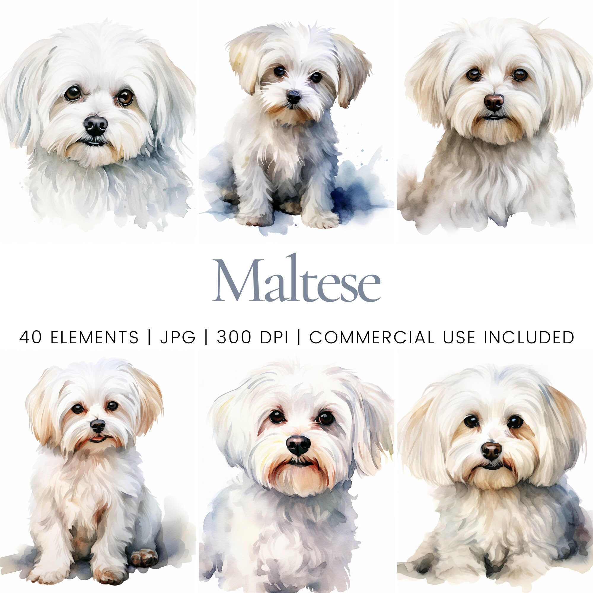 Maltese Clipart - 40 High Quality Jpgs - Digital Planner, Junk ...