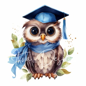 Graduation Owl Clipart - 40 High Quality Jpgs - Digital Planner, Junk ...