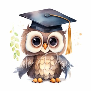 Graduation Owl Clipart - 40 High Quality Jpgs - Digital Planner, Junk ...