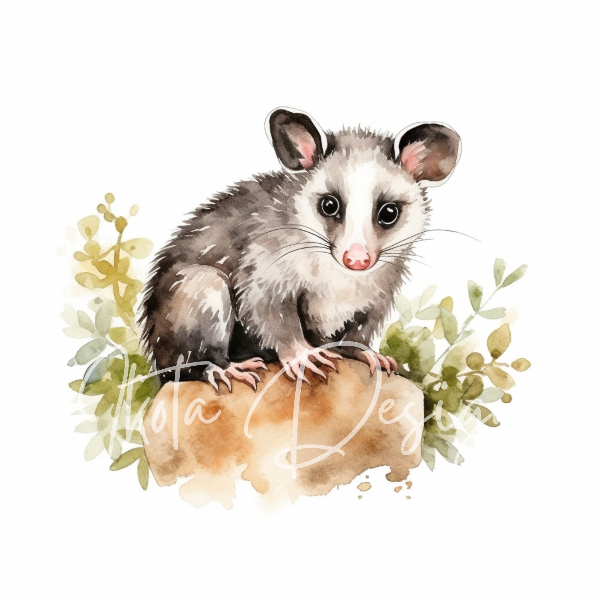 Watercolor Possum Clipart Collection, Cute Woodland Possum ...