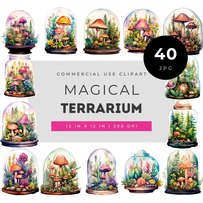 Fantasy Terrarium Kit - Etsy