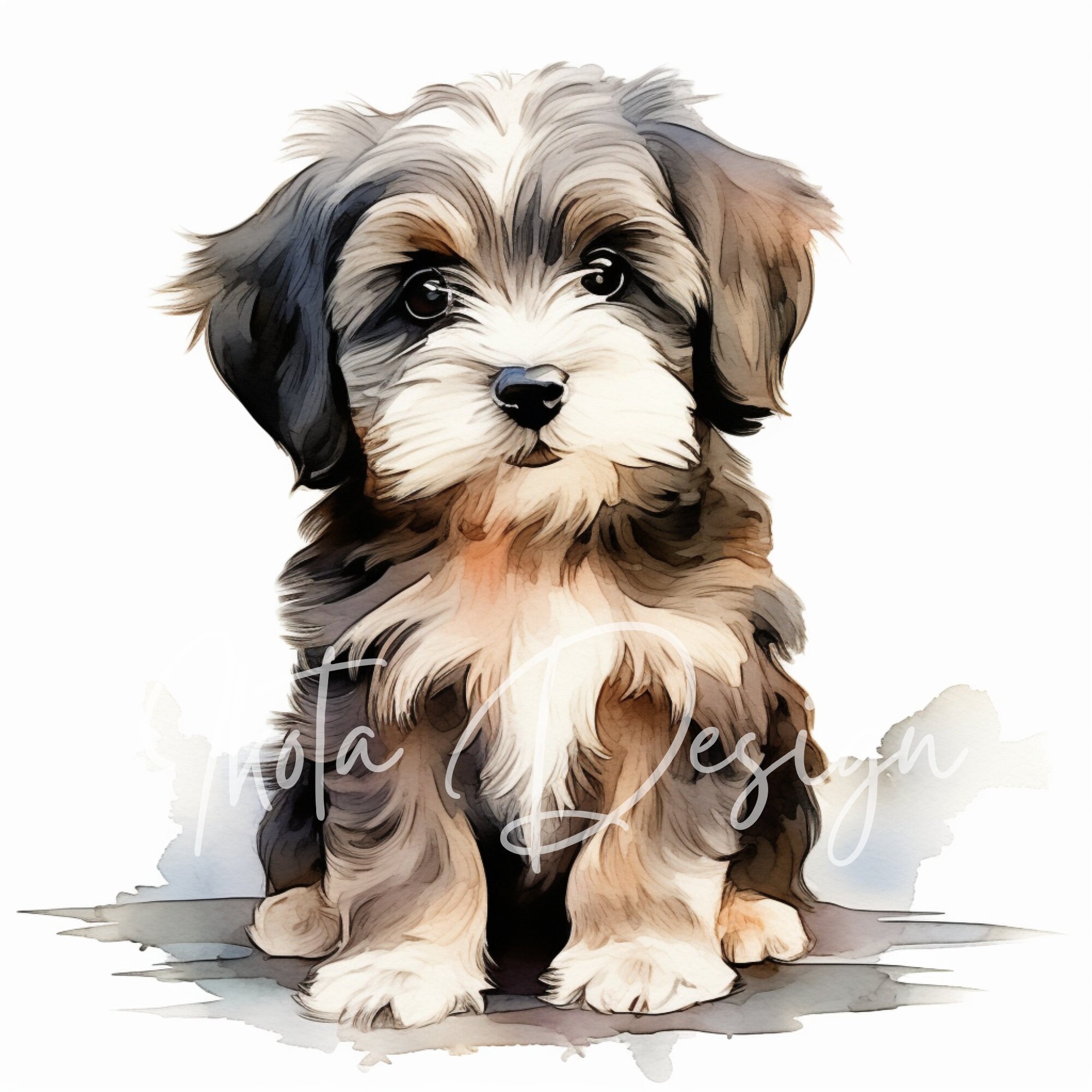 Havanese Puppy Clipart 40 High Quality Jpgs Digital - Etsy