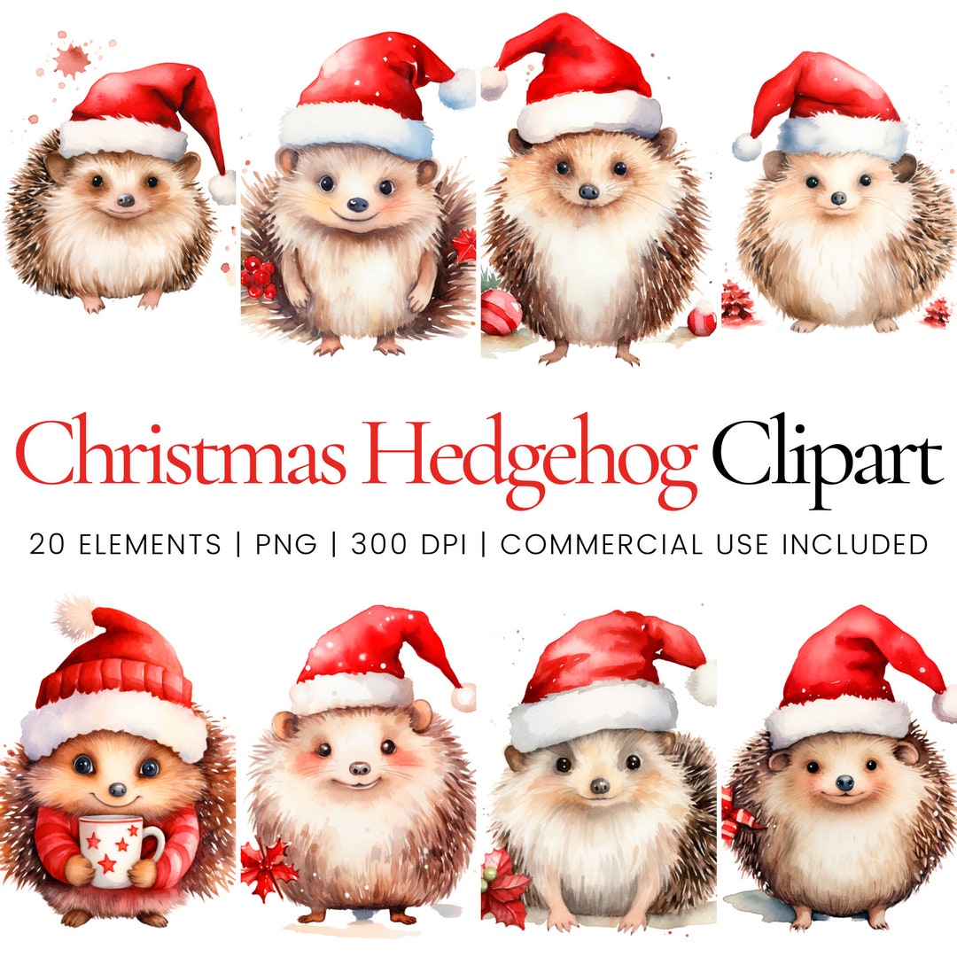 Christmas Hedgehog Clipart - 20 High Quality Pngs - Digital Planner ...