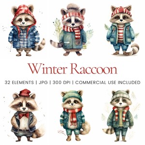 Winter Raccoon Clipart - 32 High Quality JPG - Digital Planner, Junk ...