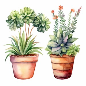 Potted House Plants Watercolor Clipart Bundle, Indoor Plant Lover ...