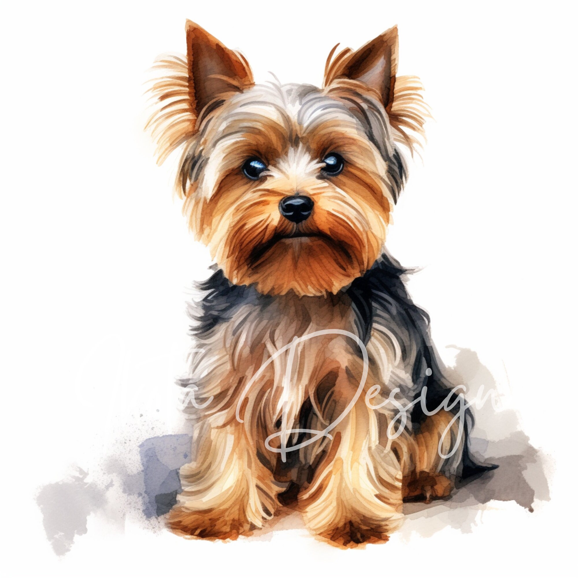 Yorkshire Terrier Clipart Collection, Watercolor Yorkie Dog ...