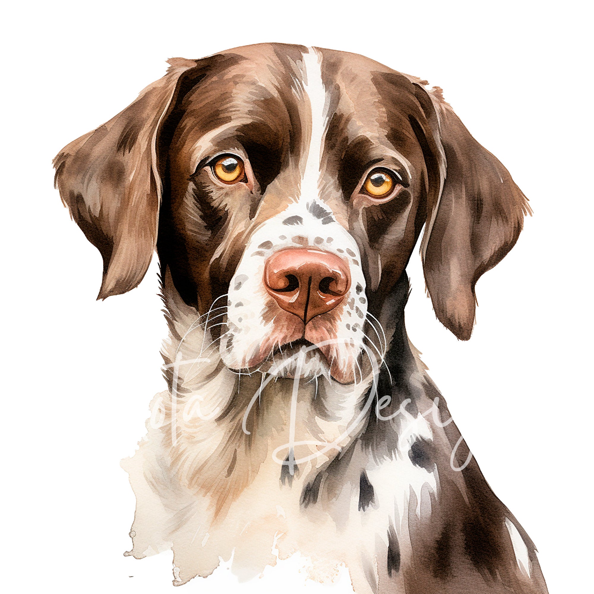 Short Haired Pointer Clipart 40 High Quality PNG Digital Planner, Junk ...