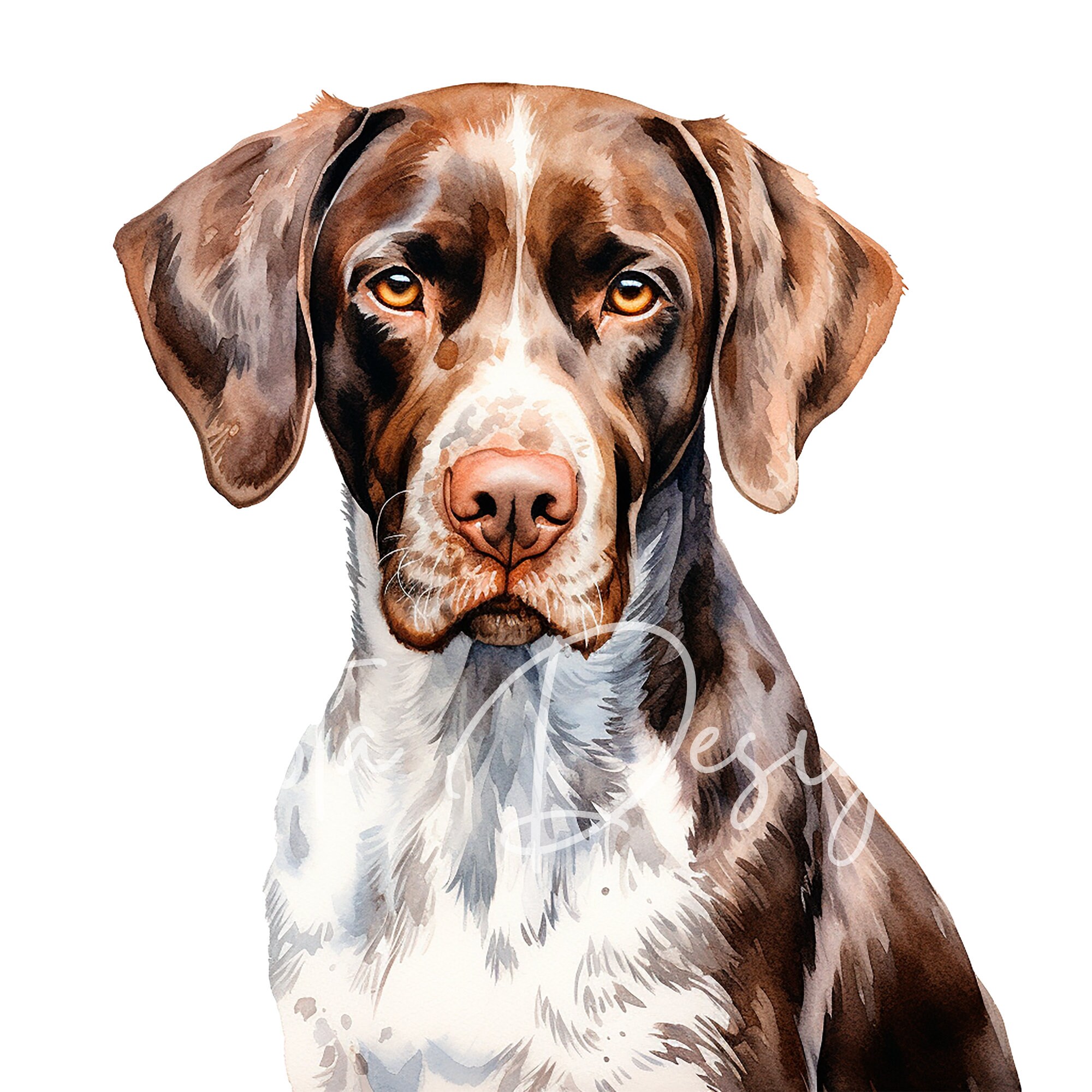 Short Haired Pointer Clipart 40 High Quality PNG Digital Planner, Junk ...