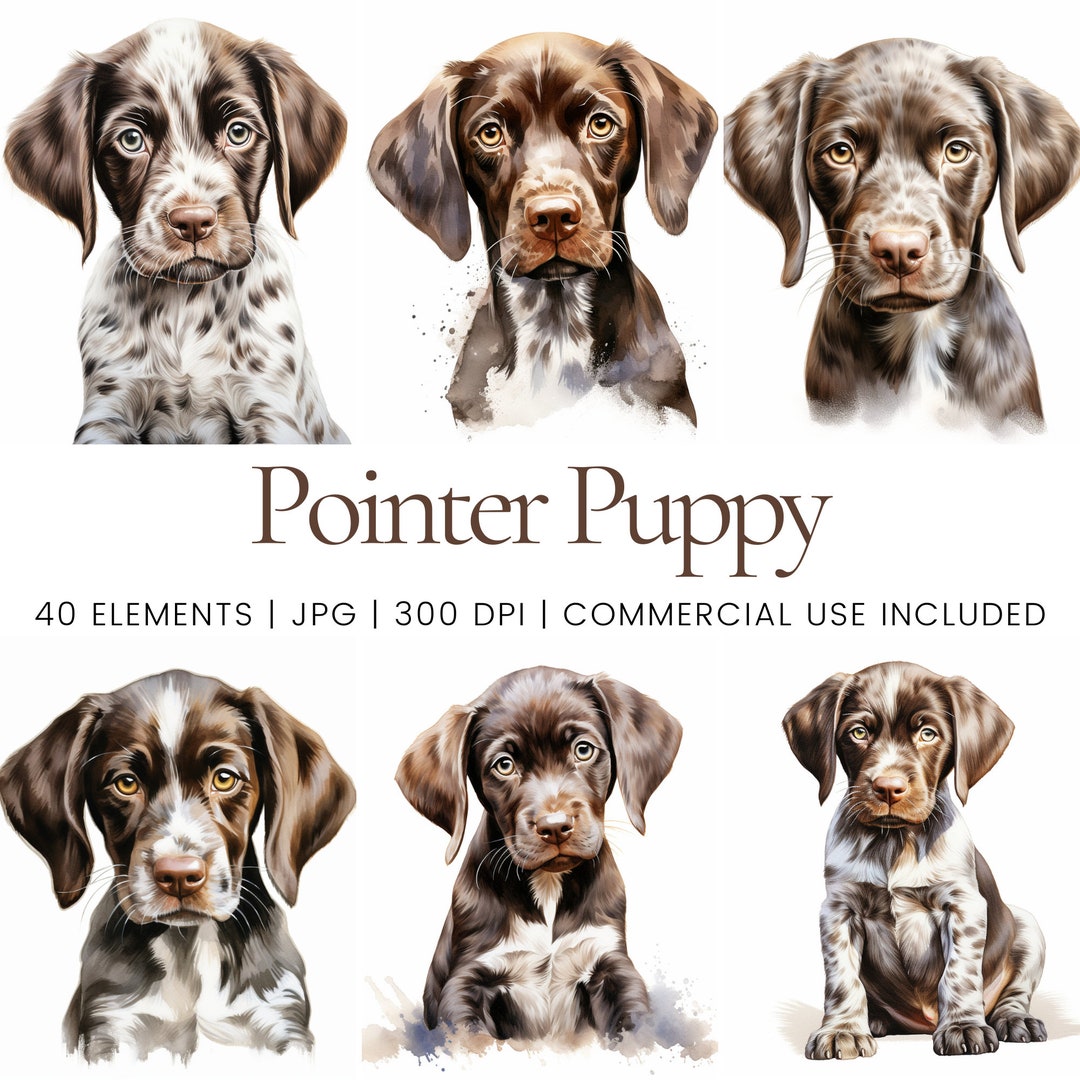 Short Haired Pointer Puppy Clipart 40 High Quality Jpgs Digital Planner ...