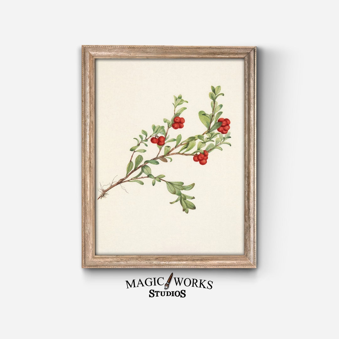 Christmas Cranberry Print Holiday Home Decor Printable Wall Art Digital ...