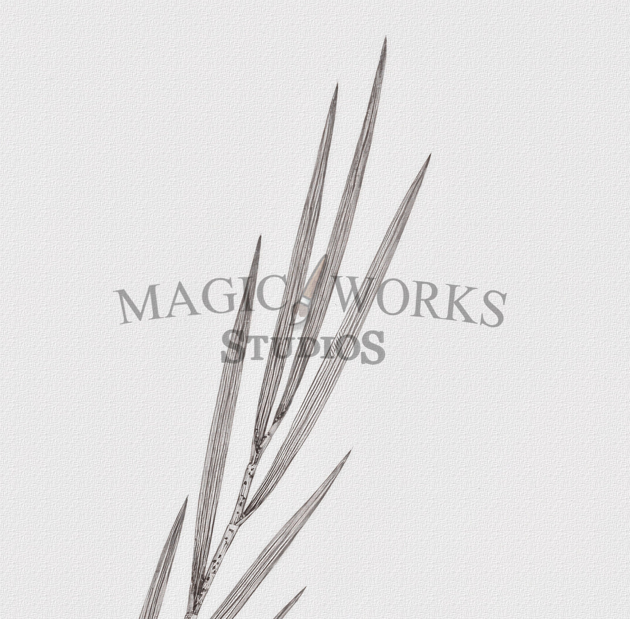 Printable Neutral Botanical Leaf Print, Vintage Botanical Art, Home Art ...