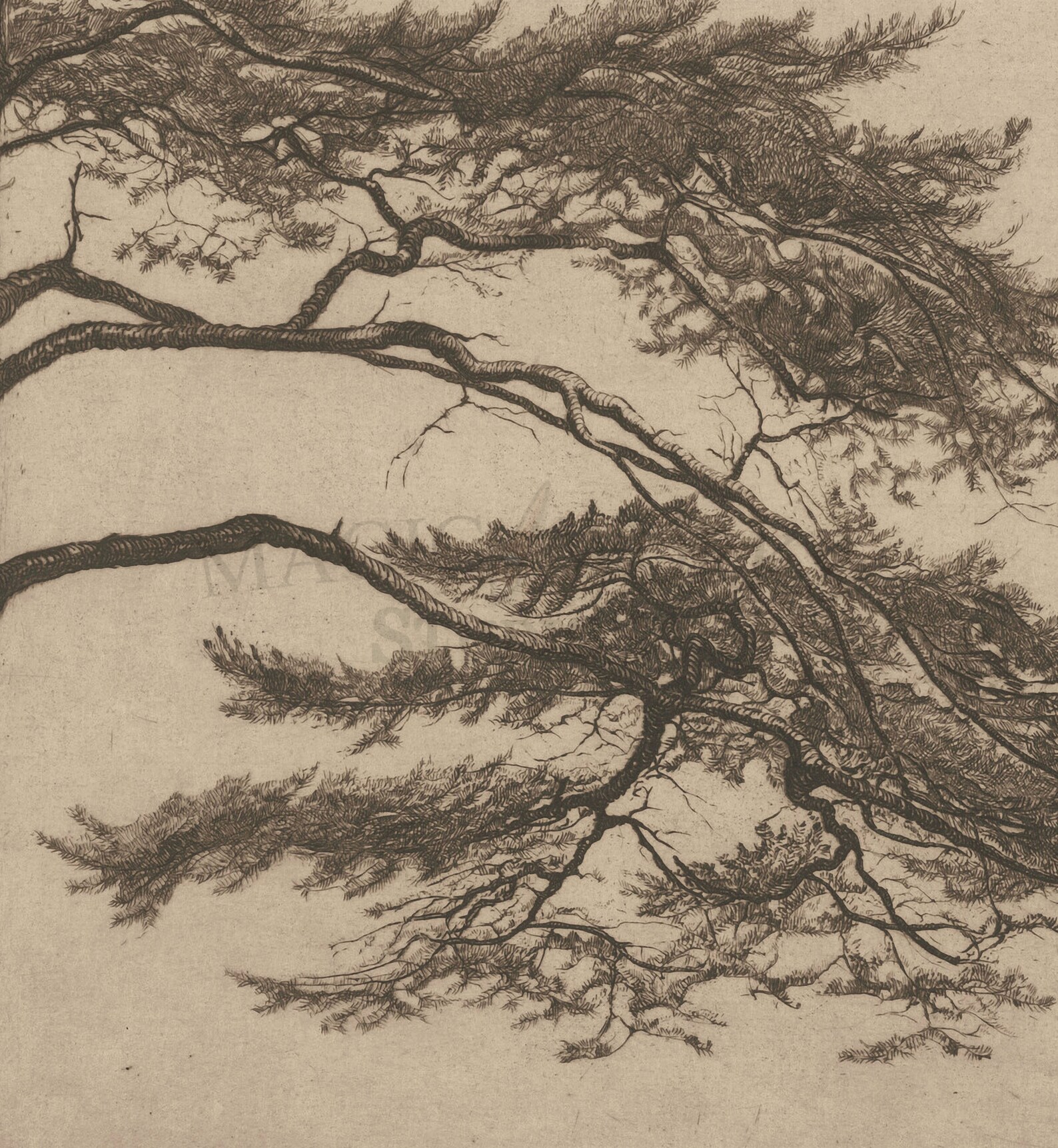 Vintage Printable Tree Painting Spreading Tree Branches Tree Branch ...