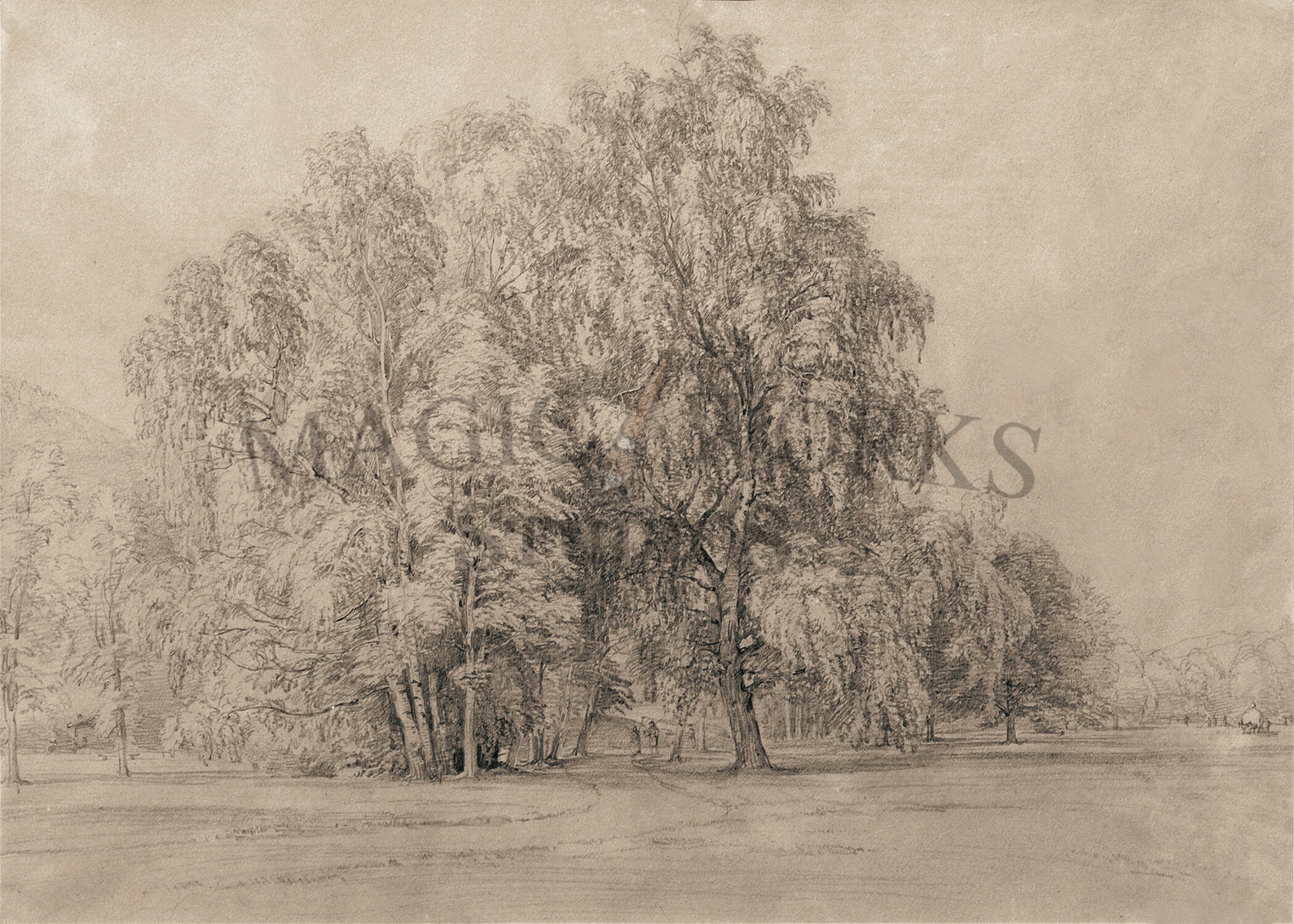 Printable Wall Art, Rustic Vintage Tree Print, Tree Wall Art, Country ...