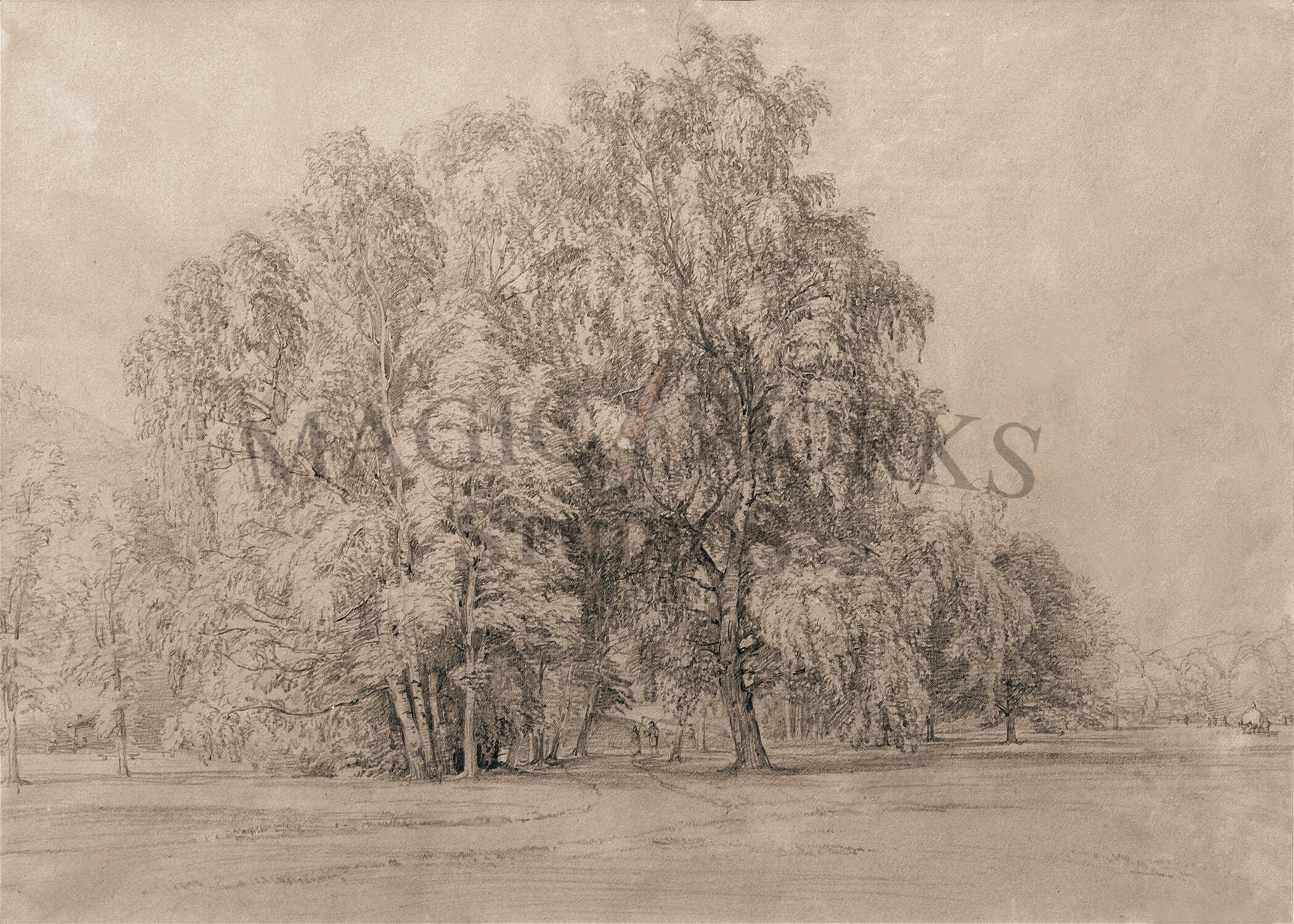 Printable Wall Art, Rustic Vintage Tree Print, Tree Wall Art, Country ...