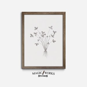 Neutral Botanical Print, Botanical Wall Art, Botanical Sketch ...